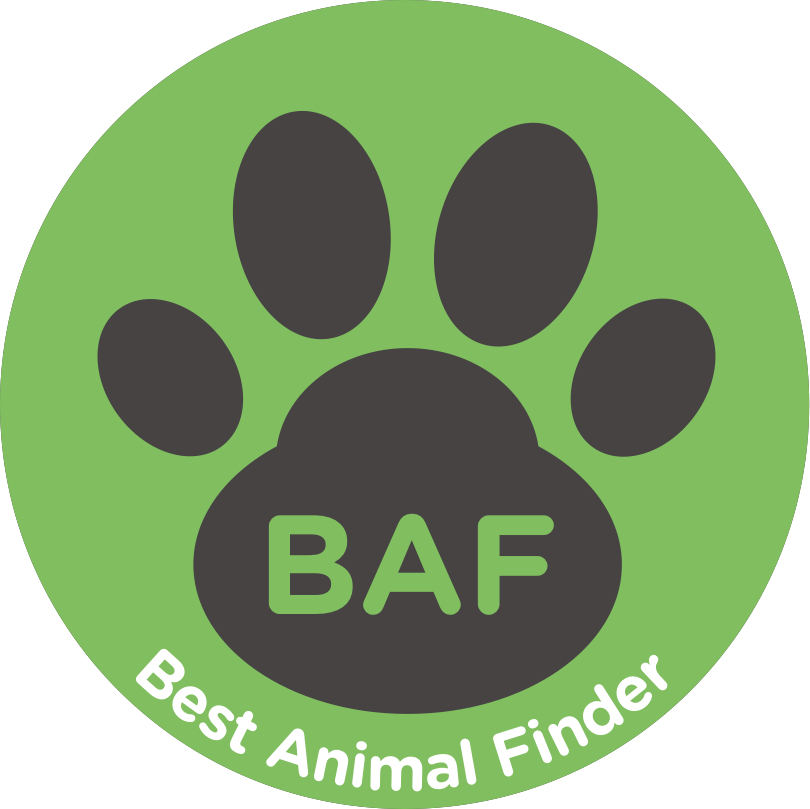 Login | BAF - Best Animal Finder